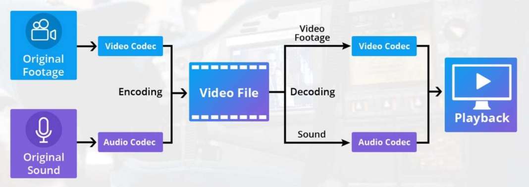 Codec VVC: cos’è e come funziona l’erede dell’HEVC | 01smartlife
