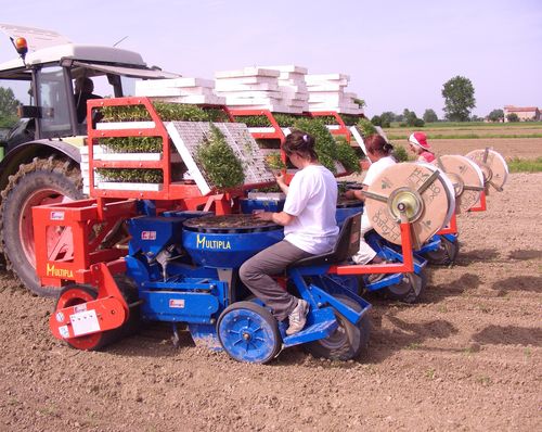 Enthusiasm and technology for horticulture - Agri Machines World
