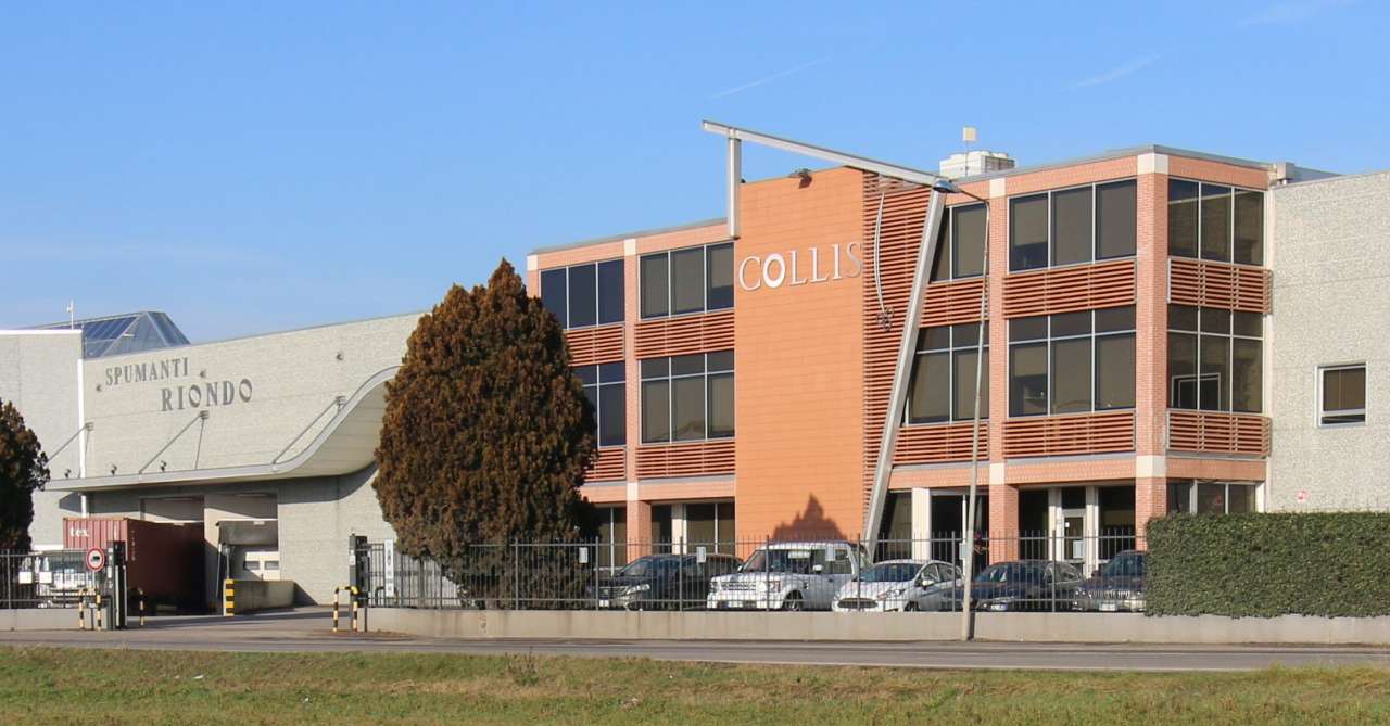 Cantine Riondo festeggia i suoi 20 anni con un fatturato record ...