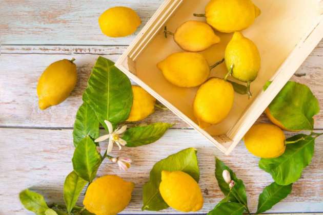 Limone, buono tutto!