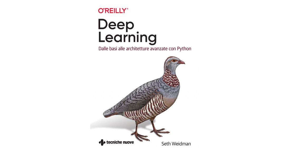 Deep Learning. Dalle basi alle architetture avanzate con Python ...