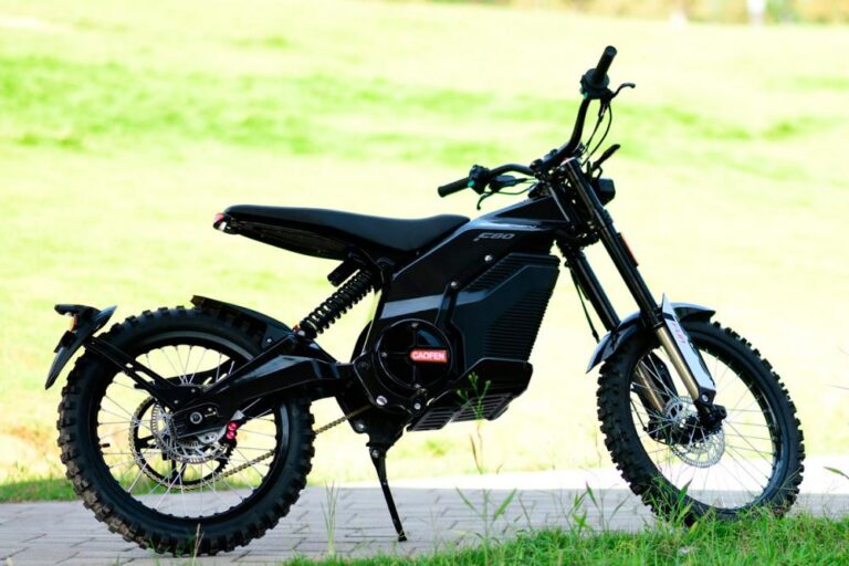 Caofen F80, the new electric high-performance series - Electric Motor ...