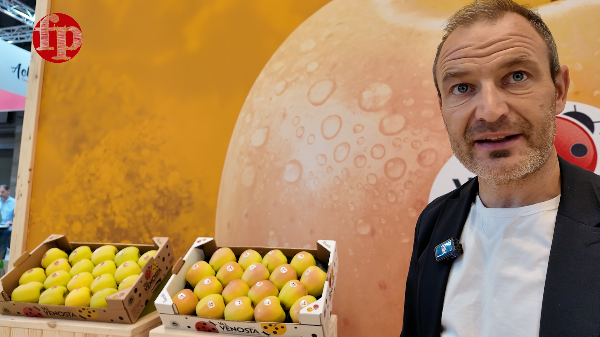 Strategie vincenti di Vip Val Venosta: dalla golden alle mele club ...