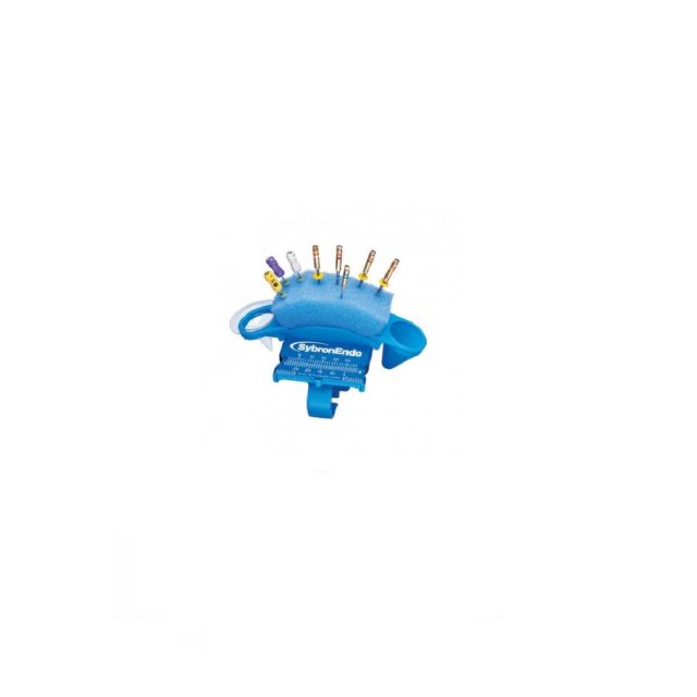 Endo Ring Kit Sybron Endo - DM Il Dentista Moderno