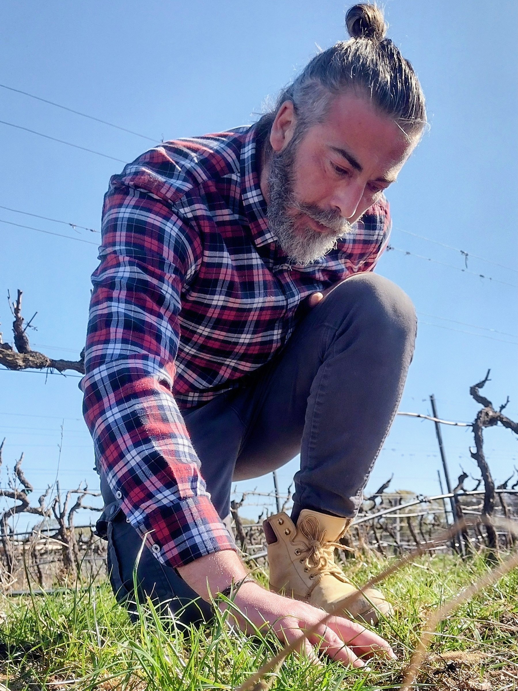 Angelo Bagorda: passione pura per il vino - Imbottigliamento
