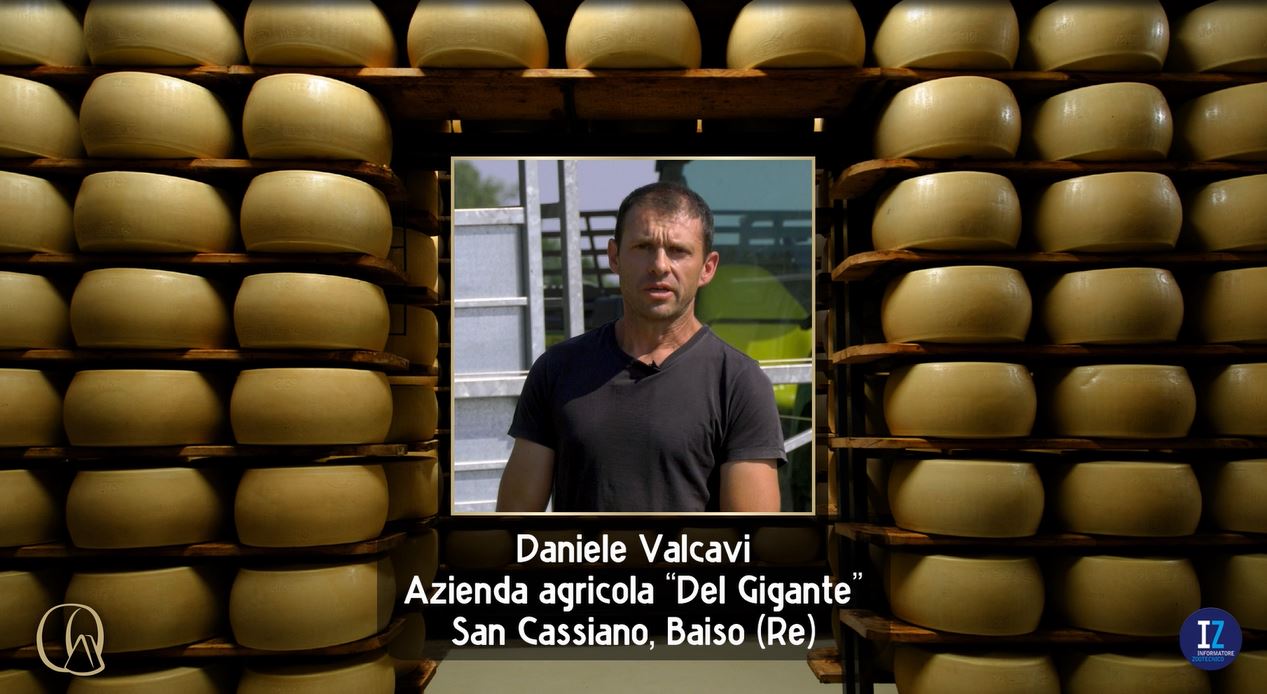 Video: l’allevamento in montagna secondo Daniele Valcavi