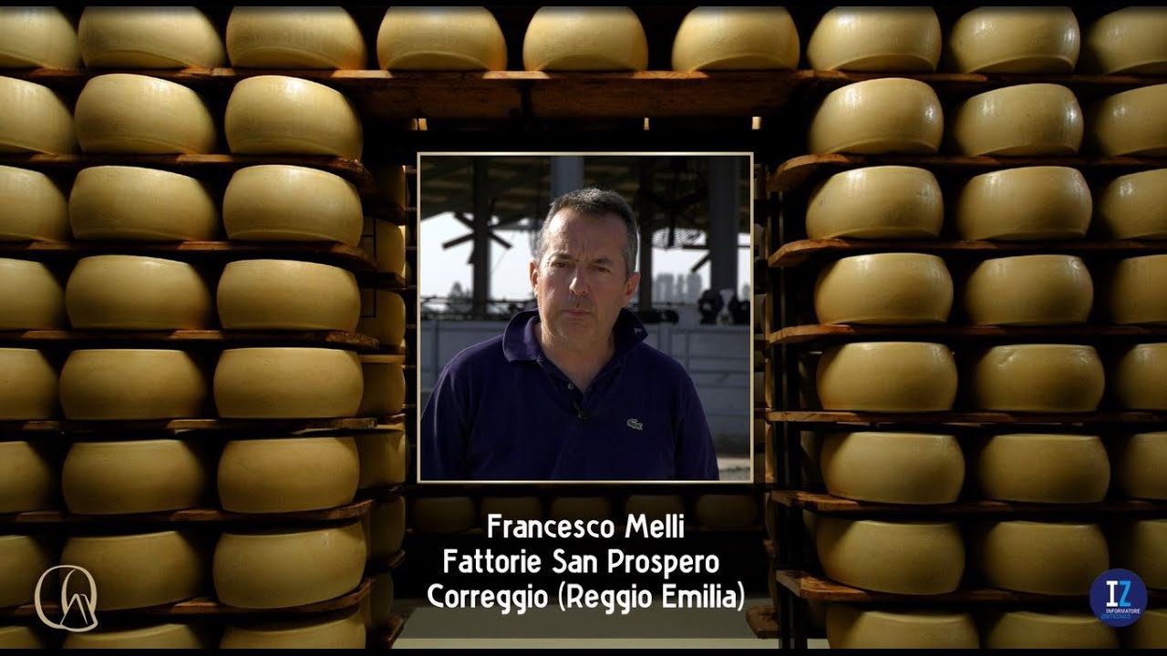 Video: Francesco Melli, allevatore di Correggio, e la sua fiducia nel ...