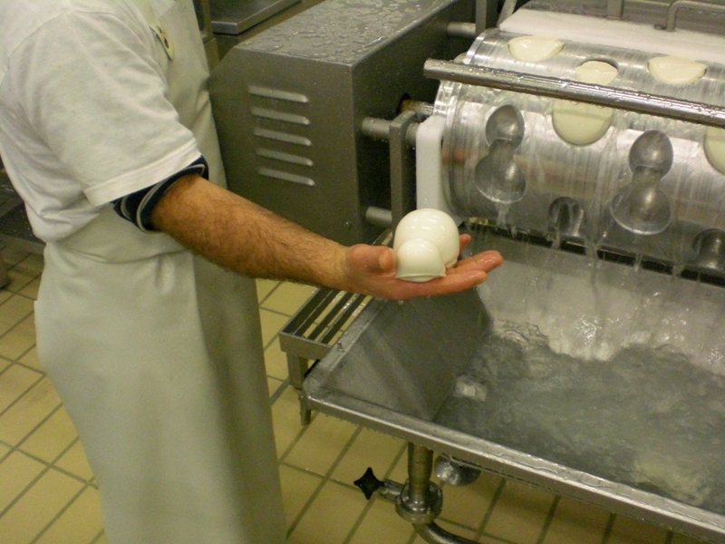 Scamorza, Italian moulding machines for quality cheese - Italian Food Tech