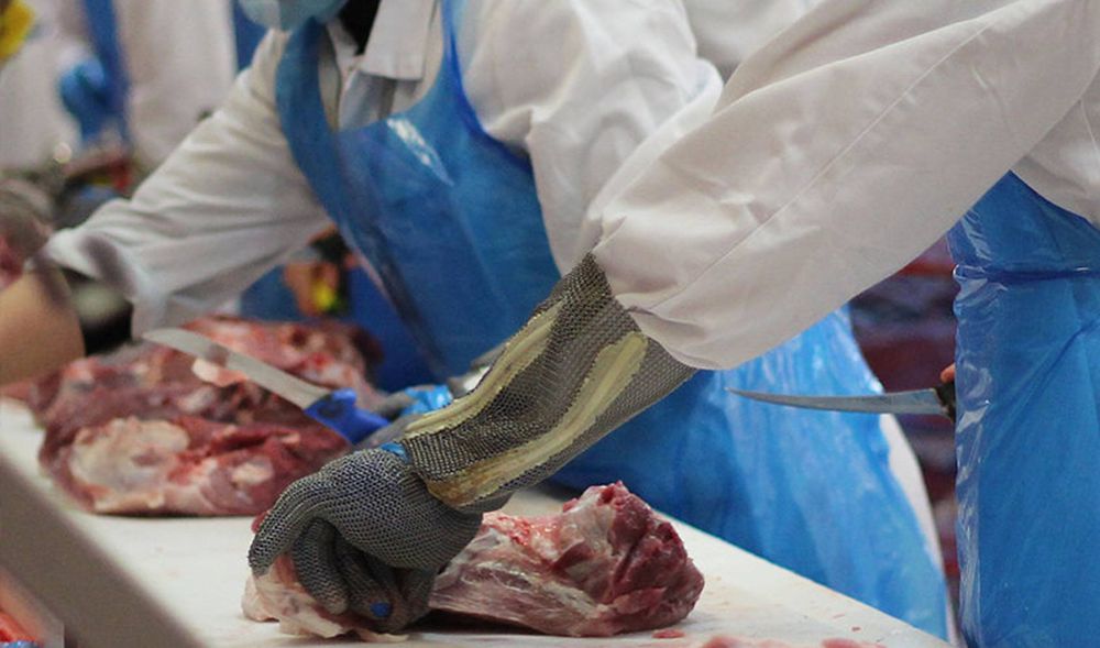 Premium sensors for premium meat - Italian Food Tech