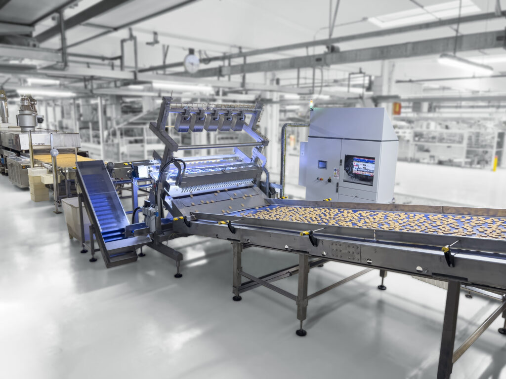 In-line smart vision inspection systems - Italian Food Tech