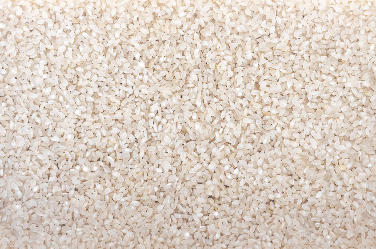 Innovative methods for varietal identification and analysis of inorganic contaminants in rice ...