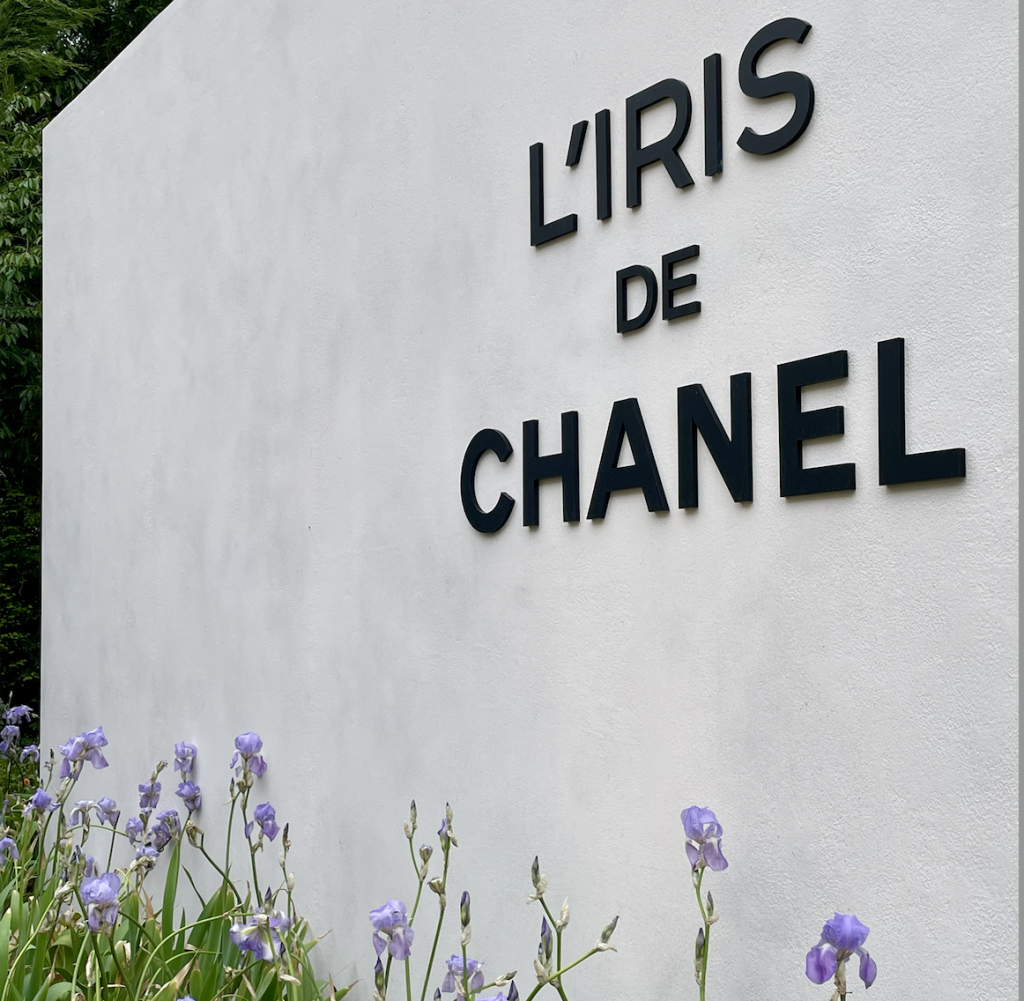 Il giardino profumato di Chanel: l'Iris pallida a Villa Windsor