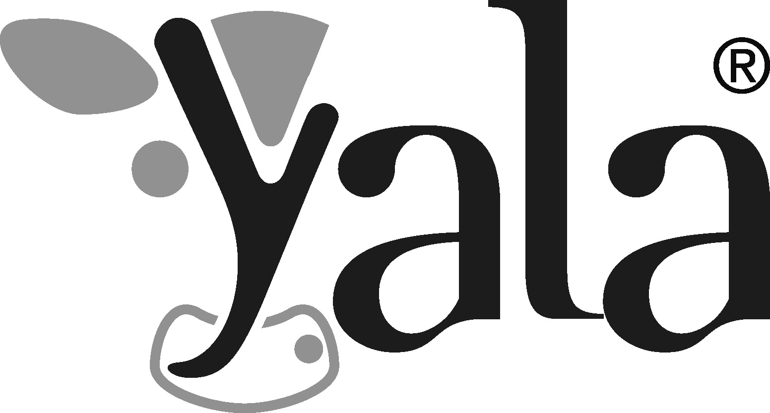 Ad Hoc Yala: il software che mantiene in linea i caseifici - Il Latte