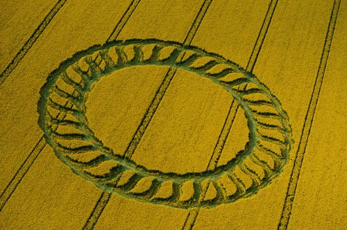 Il nesso tra rotazione colturale e fertilità del suolo - Macchine Agricole