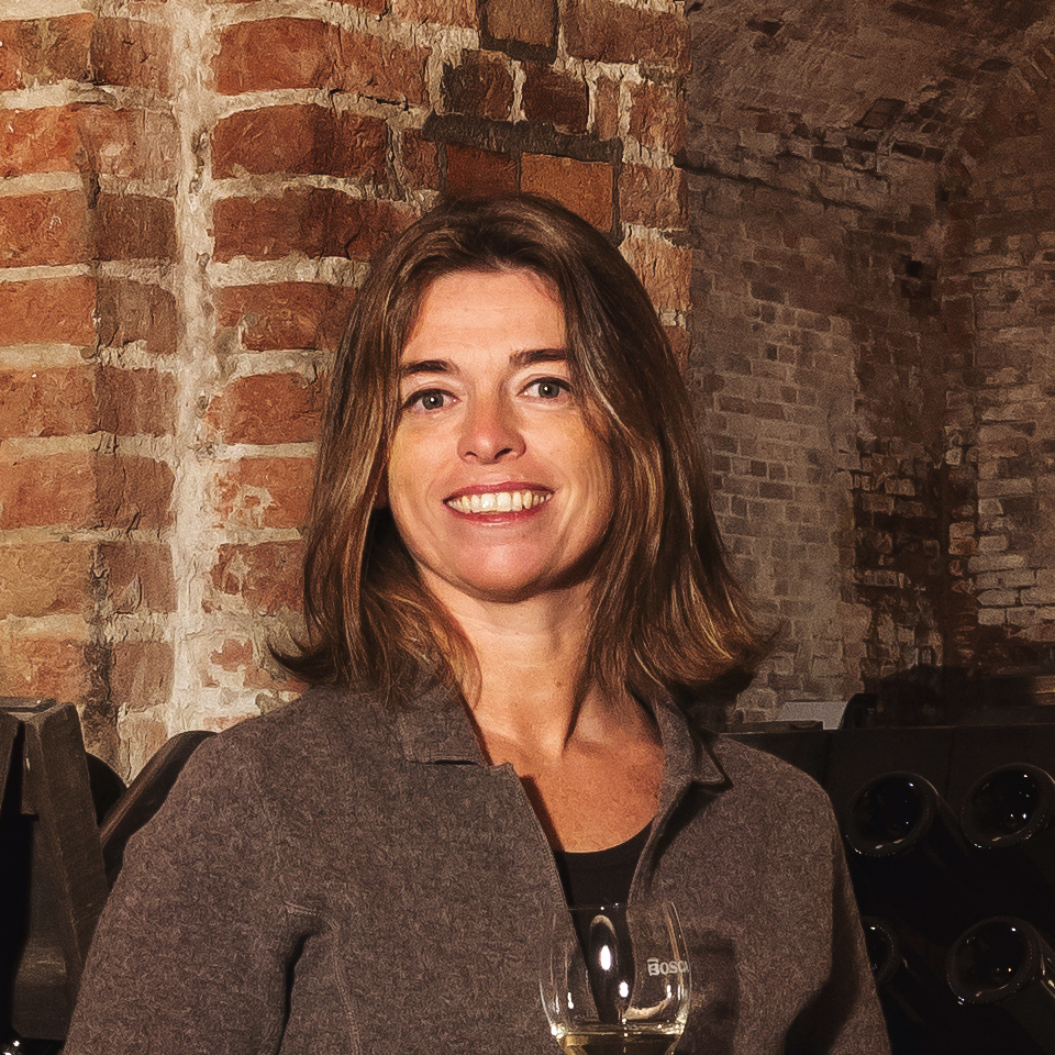 Gli Sparkletini e l’estate di Bosca