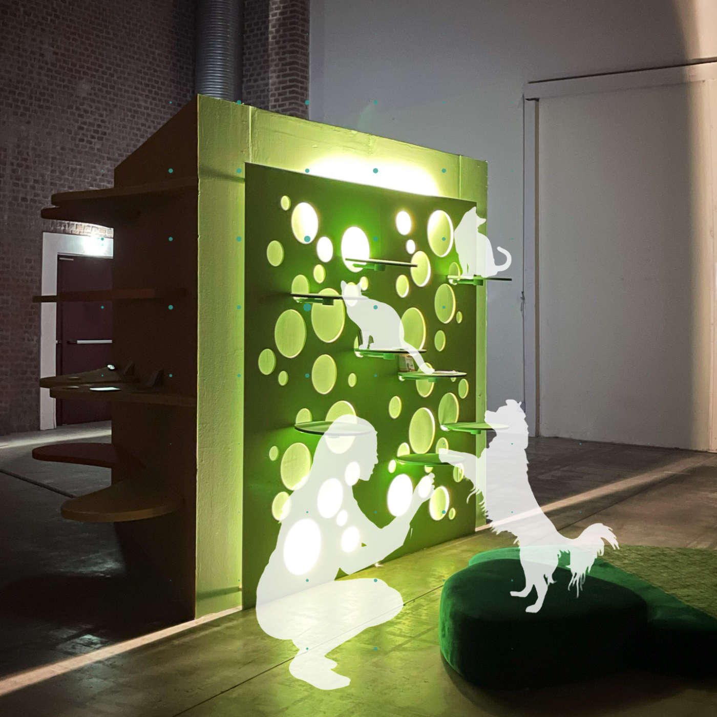 POLI.design: apre il corso in Pet Design, il primo in Italia e in Europa