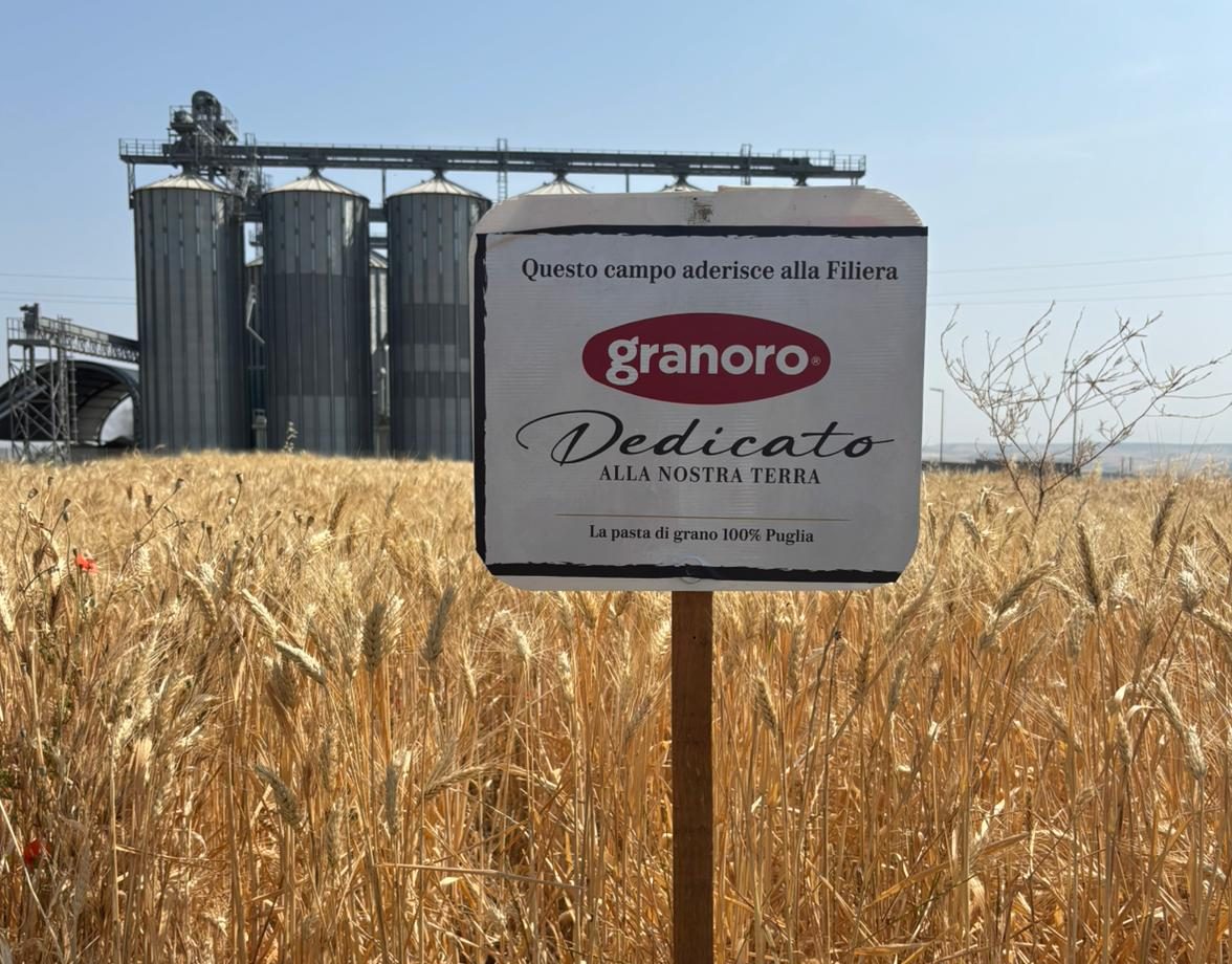 Pastificio Granoro e il modello di filiera del grano duro