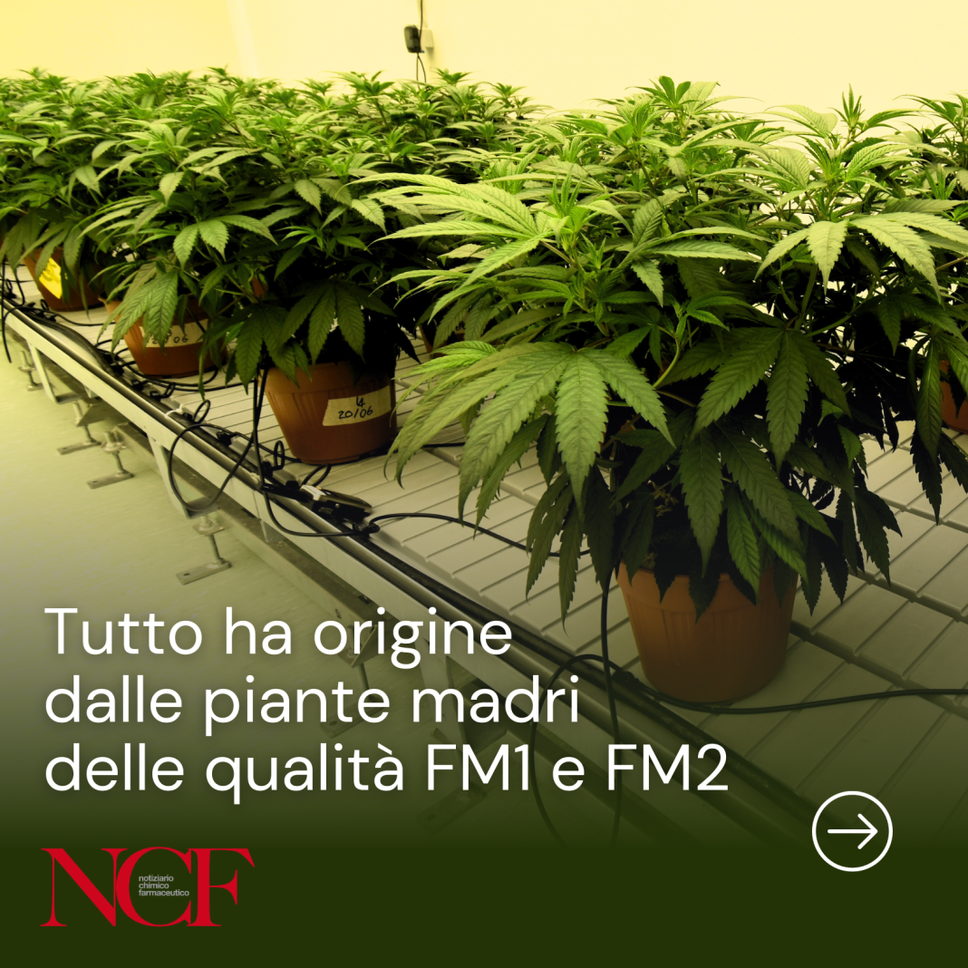 Alla scoperta dello SCFM di Firenze • NCF - Notiziario Chimico Farmaceutico