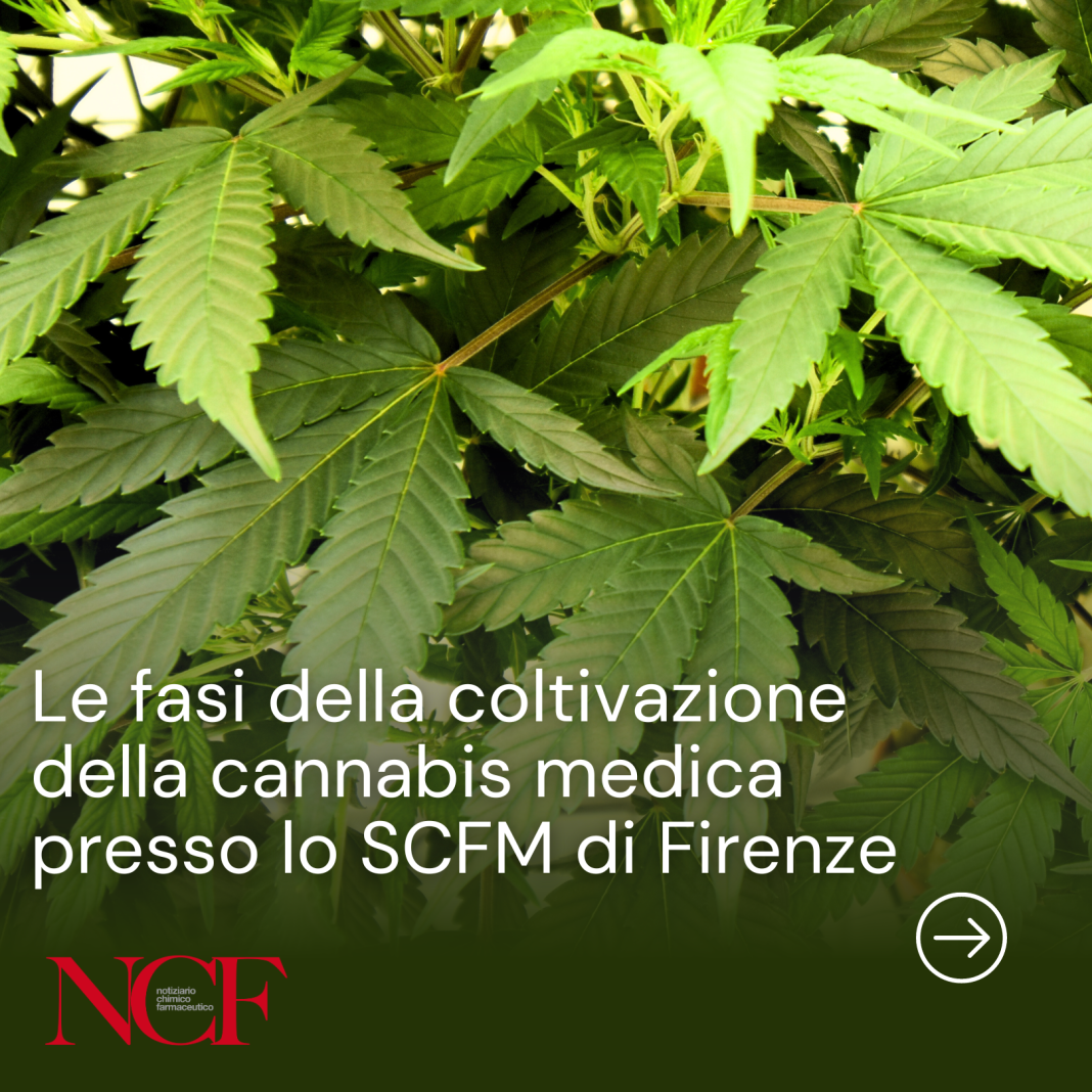 Alla scoperta dello SCFM di Firenze • NCF - Notiziario Chimico Farmaceutico