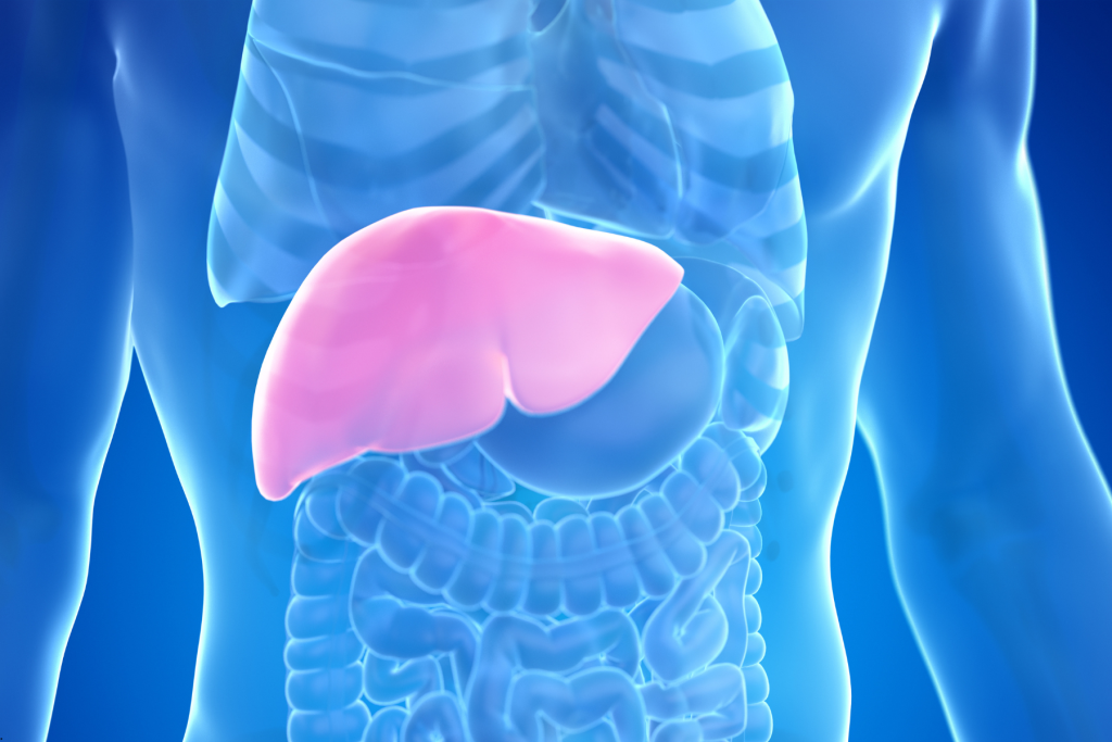 AIM-NASH, ok di EMA al primo sistema IA per analizzare le biopsie al ...