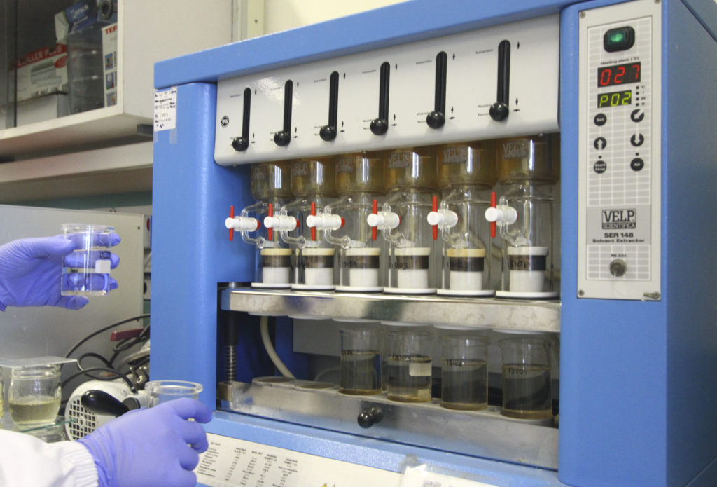 Ecol Studio, conquering Europe - Paper Industry World