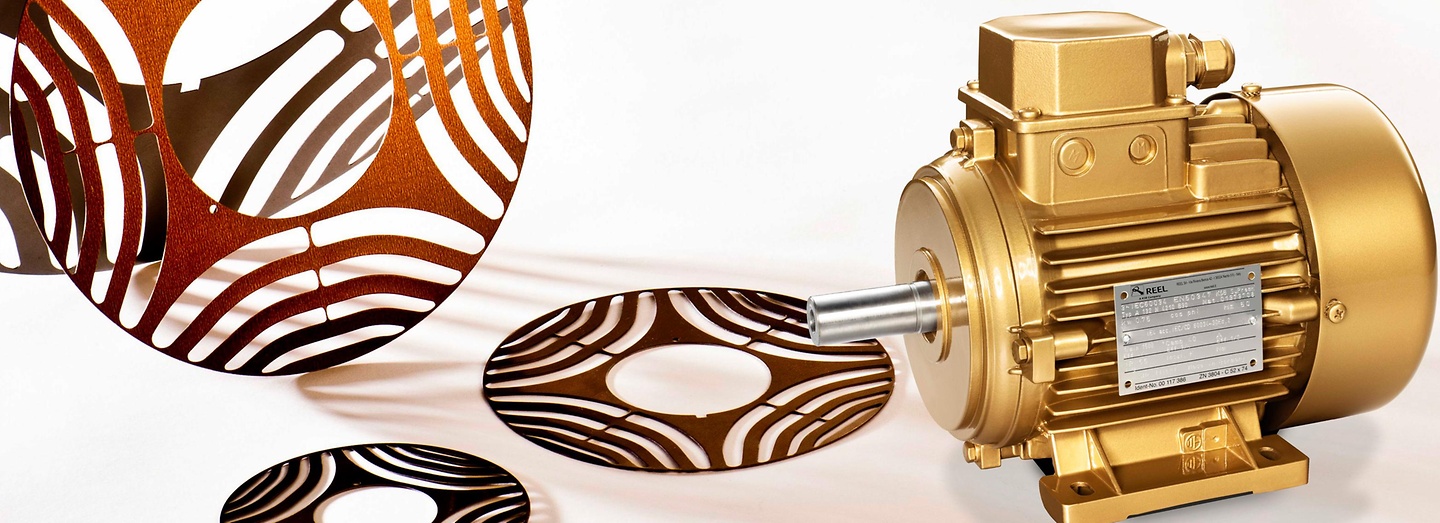 Permanent magnet synchronous motors and synchronous reluctance motors ...