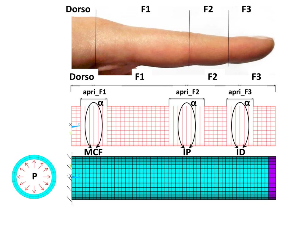 A soft pneumatic actuator to be used as finger of a collaborative robot ...