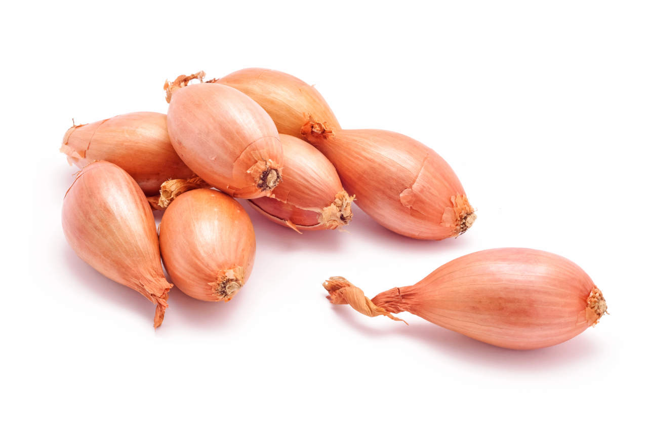 Lo scalogno, bulbo a metà tra cipolla e aglio | Ristoranti Web