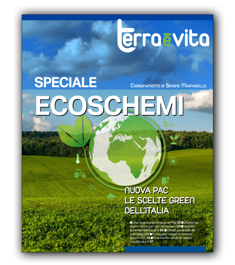 Eco-schemi, una guida per conoscerli e applicarli al meglio - Terra e Vita
