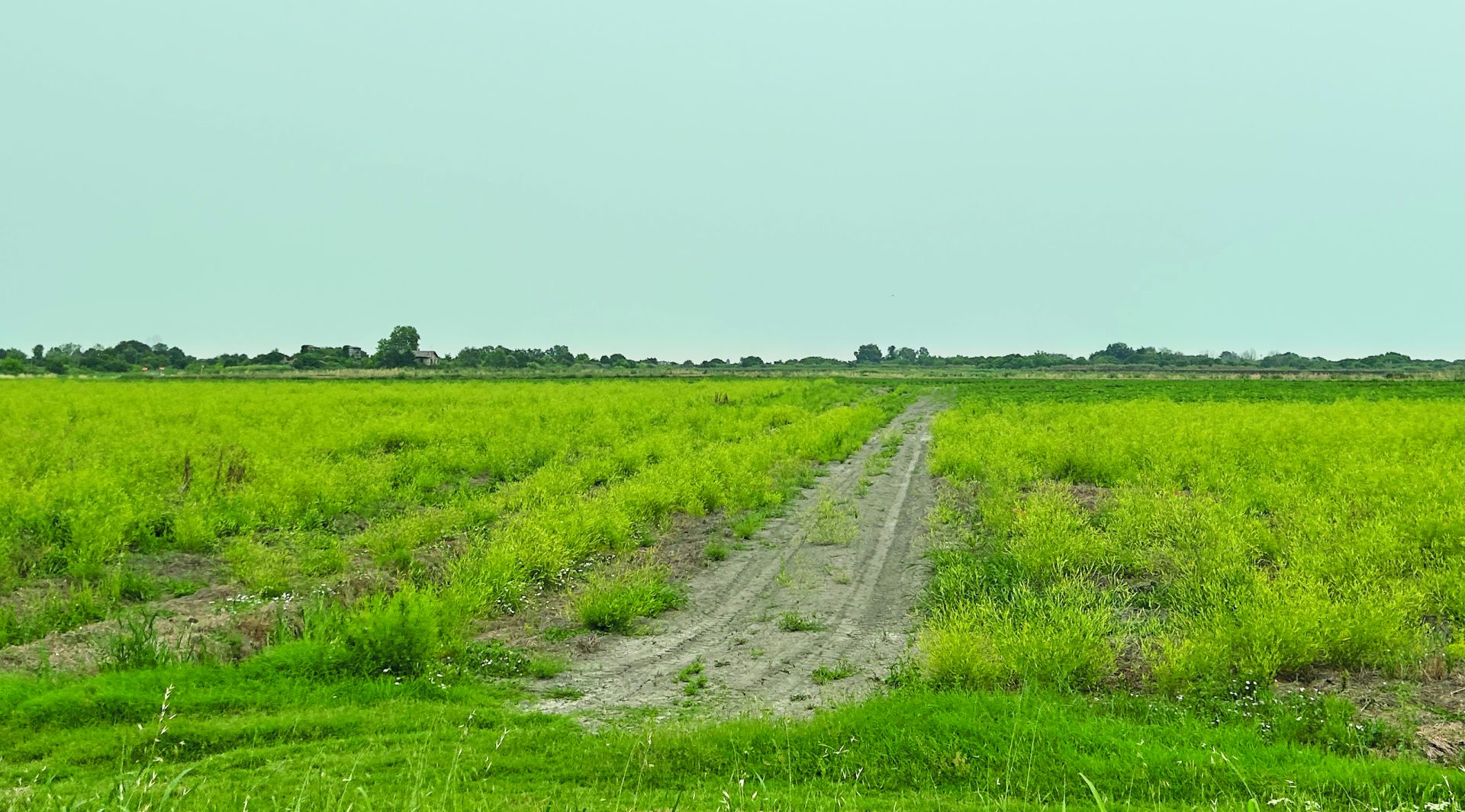 Modifiche alla Pac, ecco le scelte dell’Italia - Terra e Vita