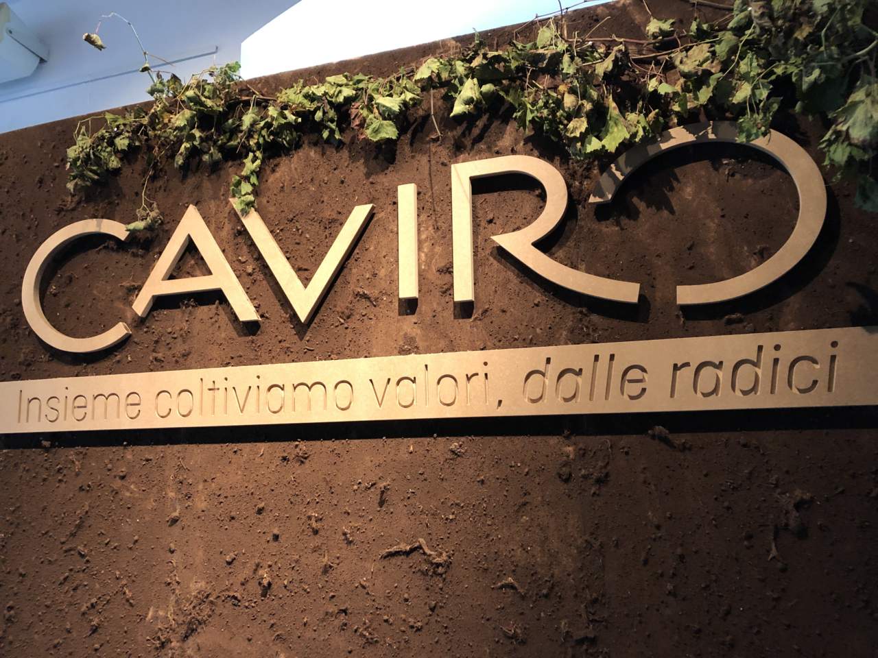 Caviro presenta la prima edizione del suo Bilancio di Sostenibilità ...