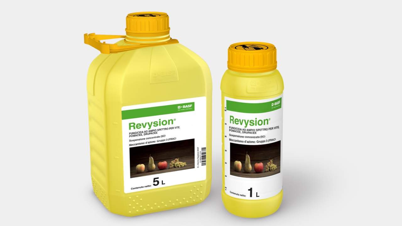 BASF presenta Revysion®: il fungicida di nuova generazione per vite e ...