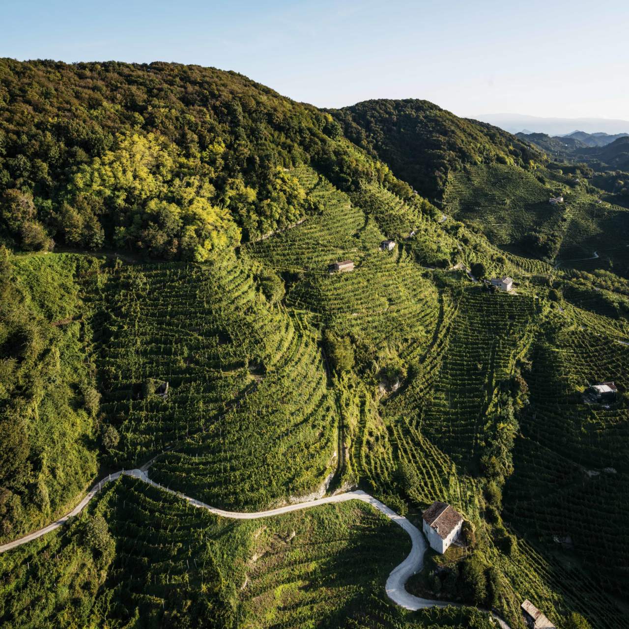 Sistema Prosecco: eletto il nuovo consiglio di amministrazione - VVQ ...