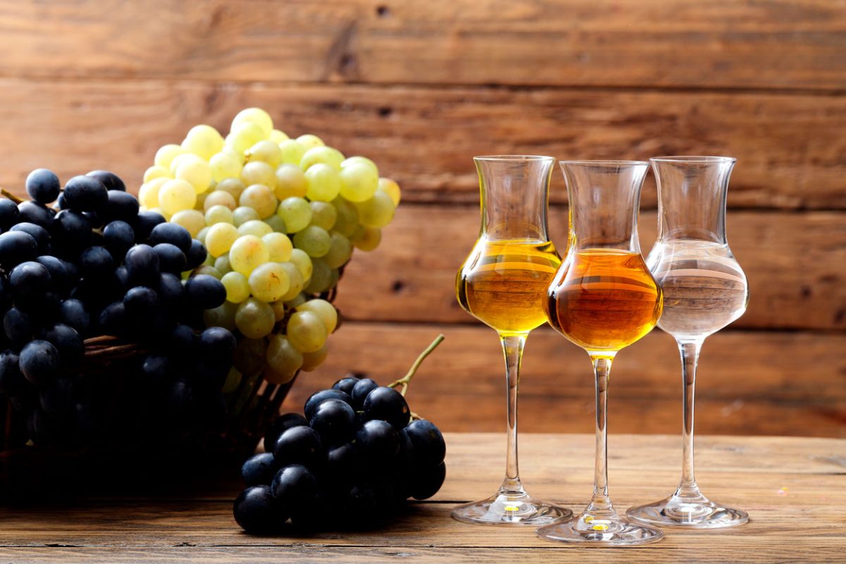 La Grappa nell'accordo Ue-Mercosur - VVQ - Vigne, Vini & Qualità